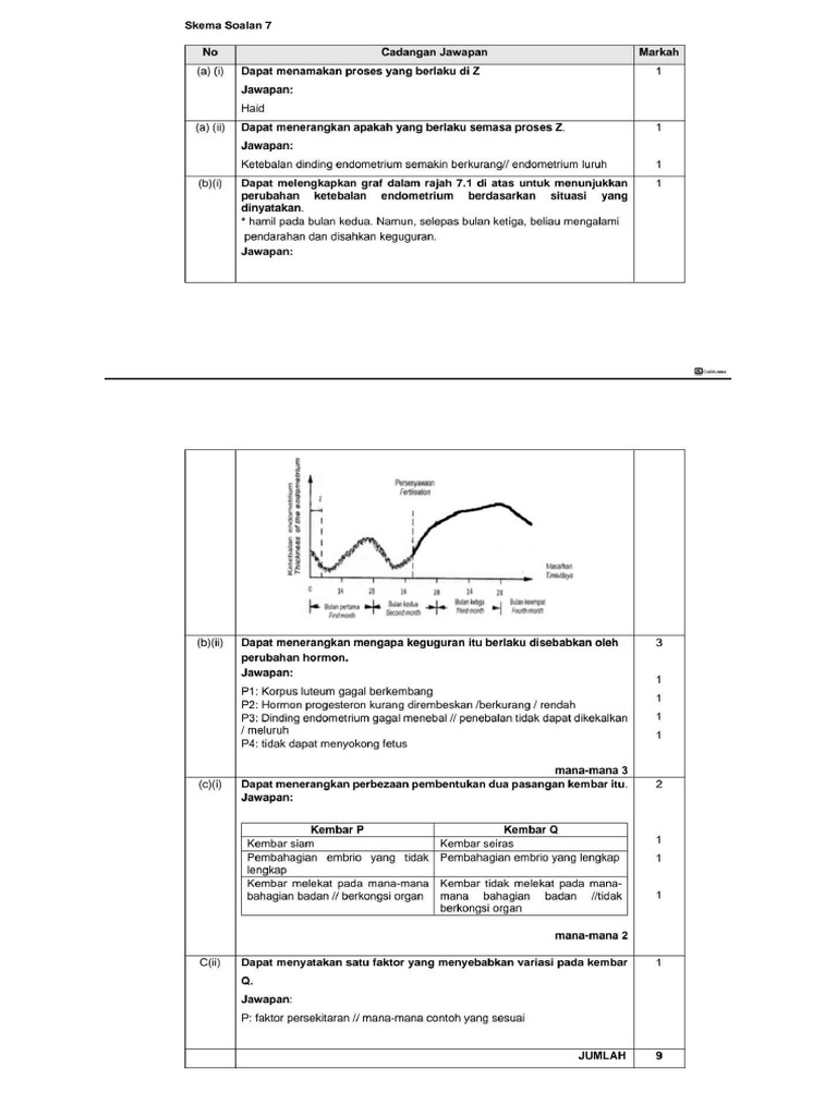 Jawapan Bio t4 Bab 15 | PDF
