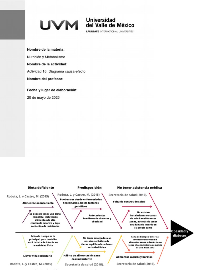 Actividad 16. Diagrama Causa-Efecto | PDF