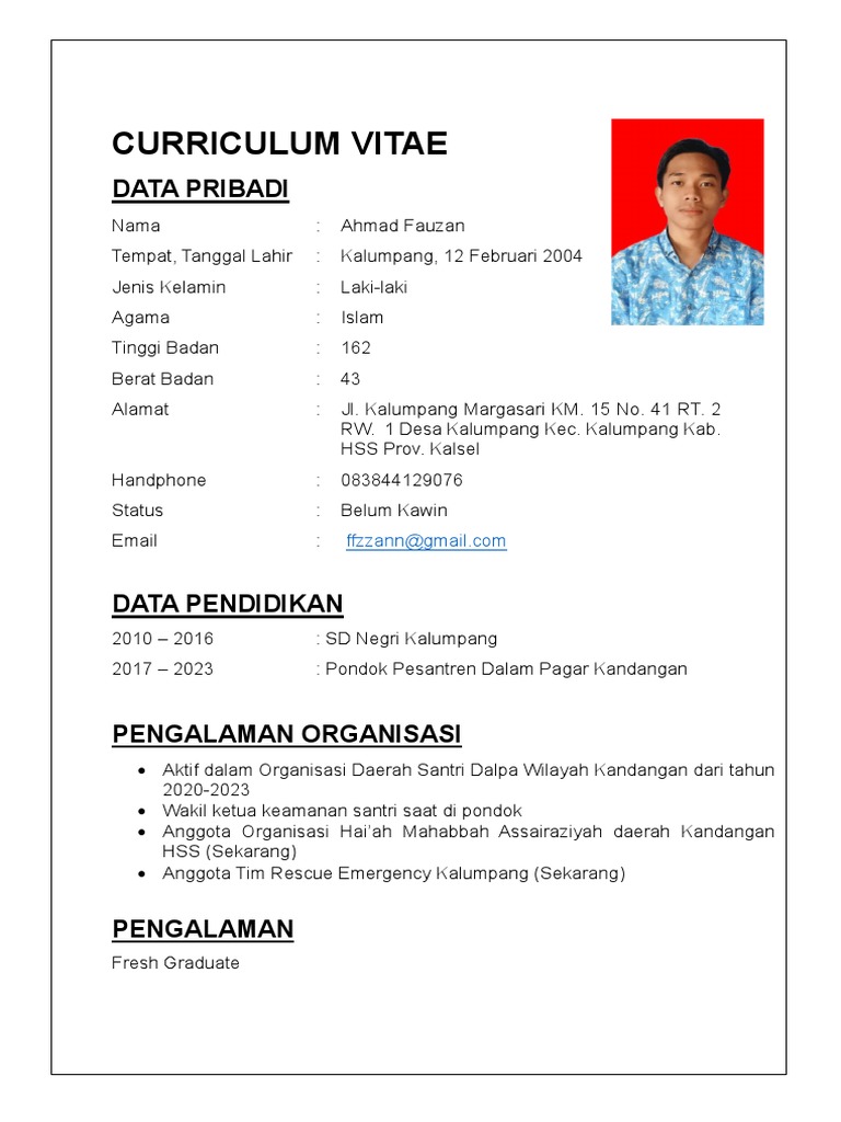 CV Ahmad Fauzan | PDF