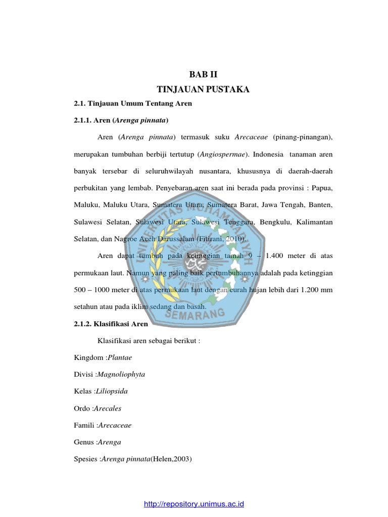 Fermentasi Nira Aren Jadi Cuka | PDF