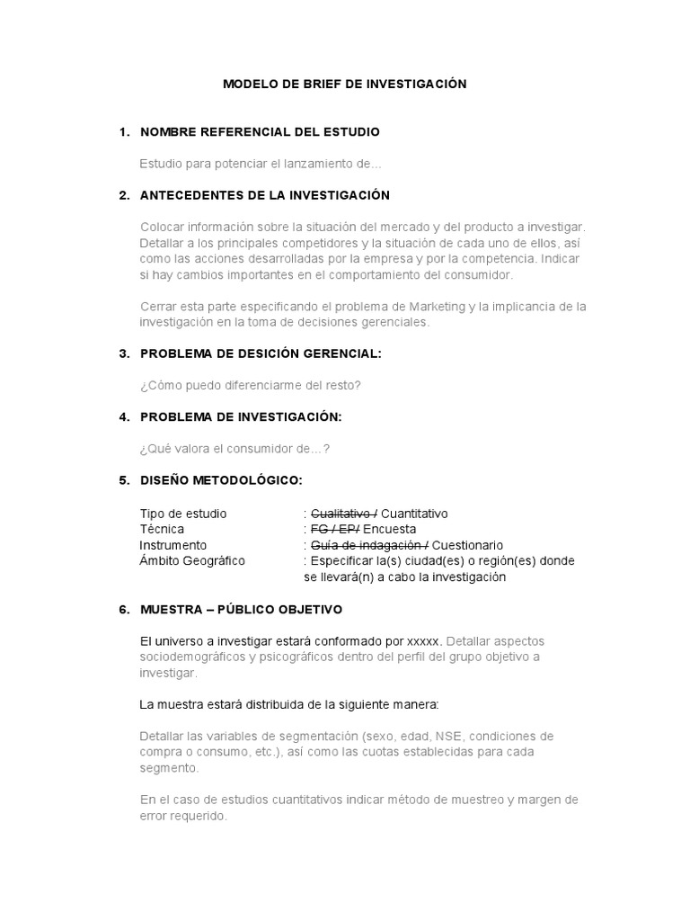 Brief de Investigación | PDF | Producto (Negocio) | Marketing