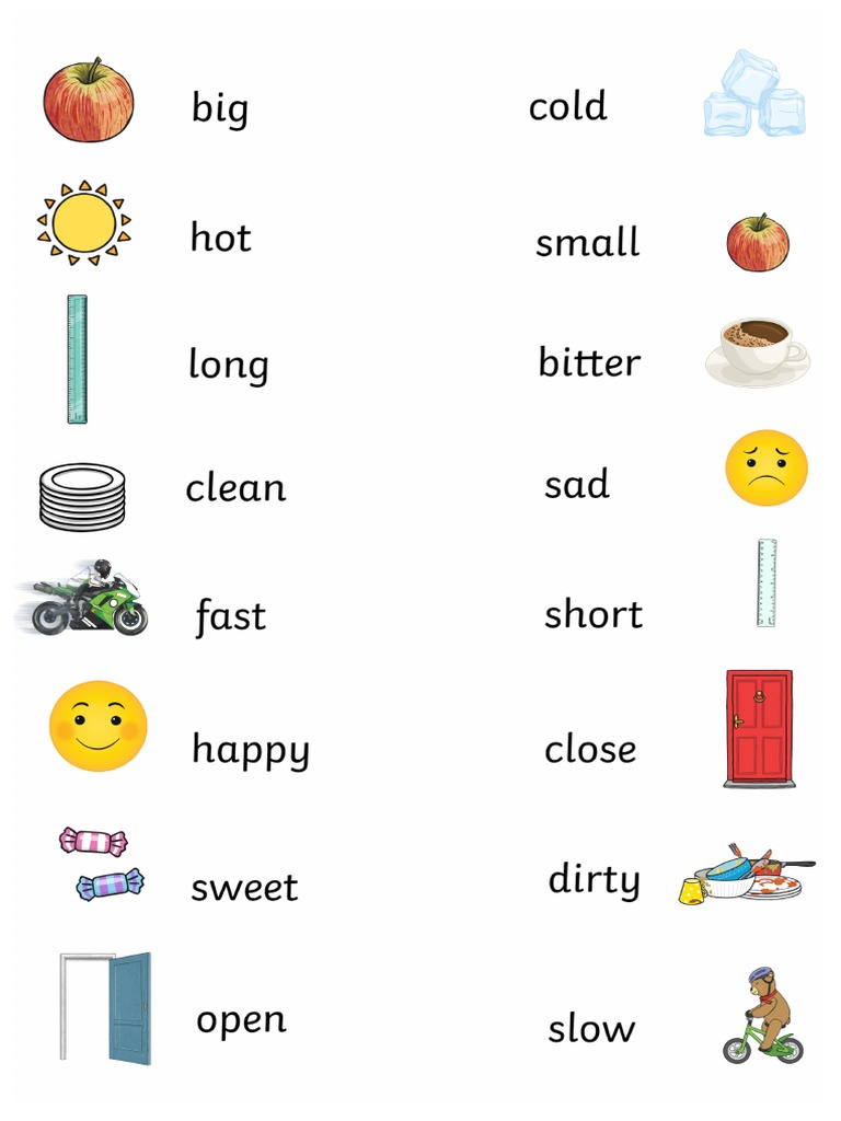 Opposites Worksheet | PDF