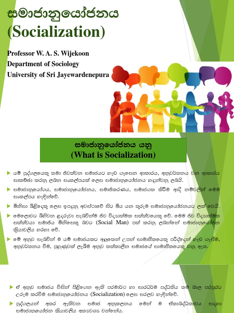 Socialization | PDF