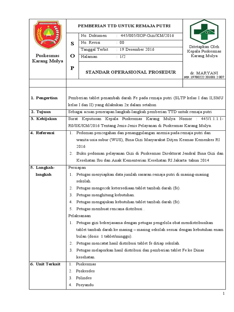 005 PEMBERIAN TTD UNTUK REMAJA PUTRI | PDF