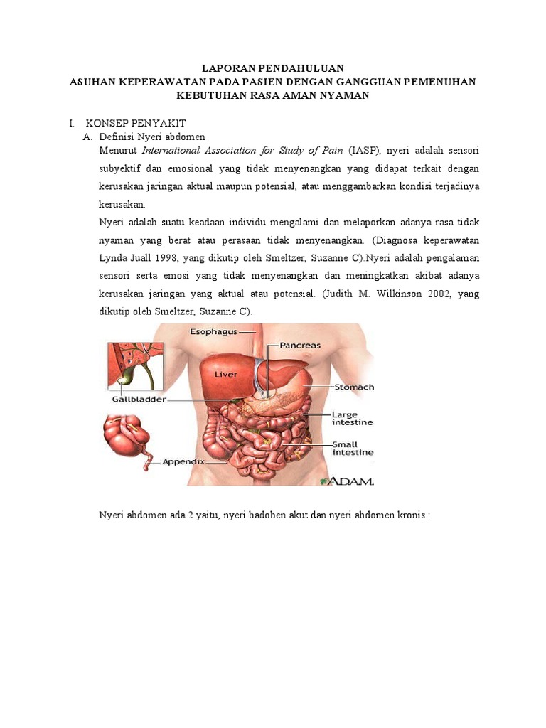 LP ABDOMINAL PAIN | PDF