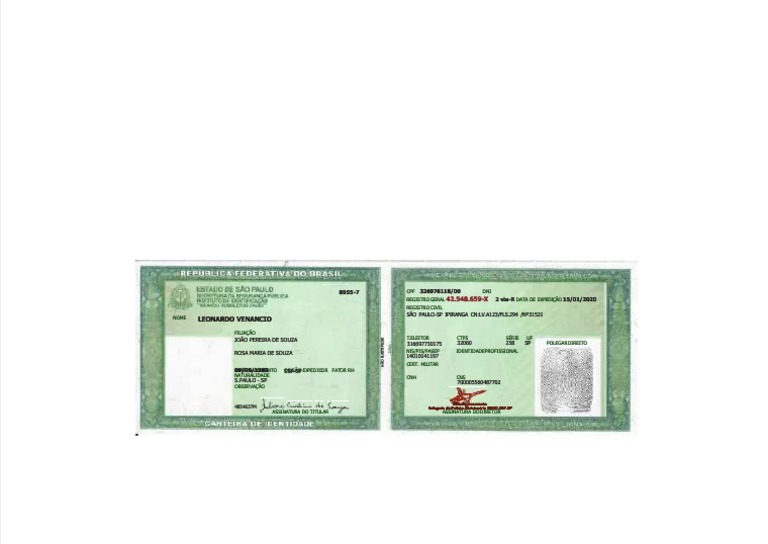 RG Editavel 2020 - Compress | PDF