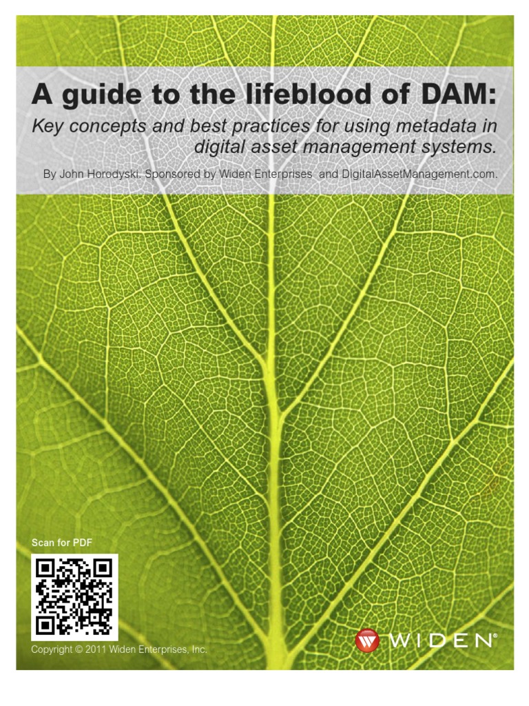 A Guide To The Lifeblood of DAM: Key Concepts and Best Practices For ...