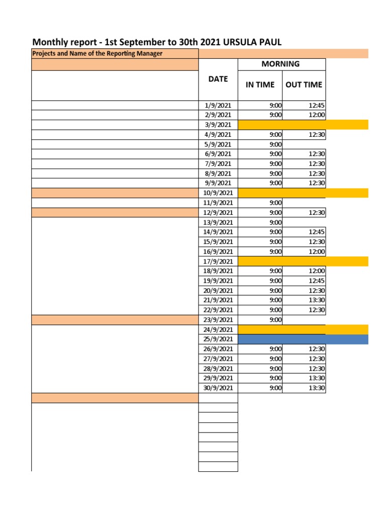 Monthly Report | PDF