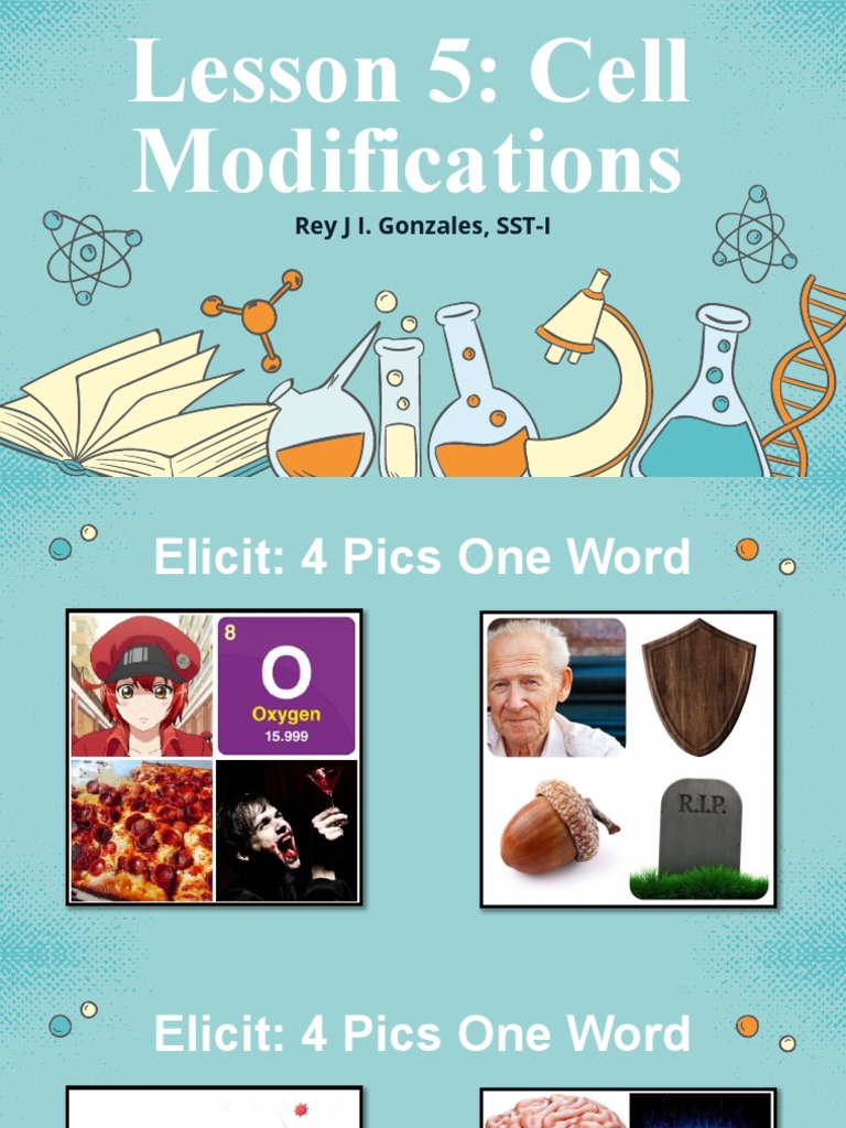 Cell Modifications | PDF | Cell (Biology) | Cell Membrane