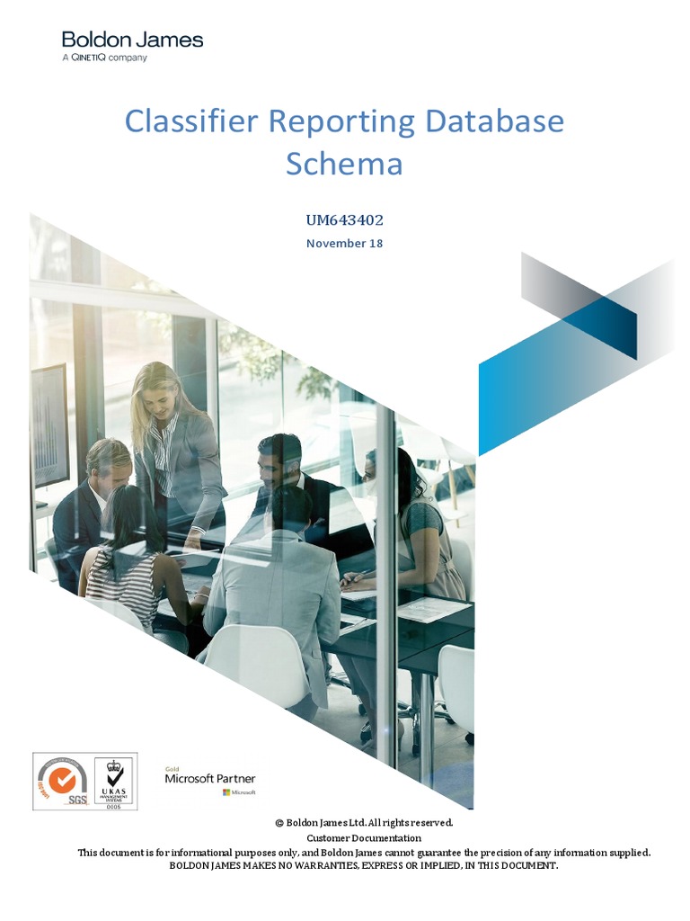 Reporting System Database Schema | PDF