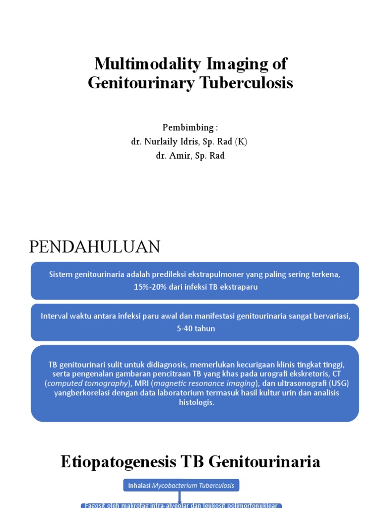 Multimodality Imaging of Genitourinary Tuberculosis | PDF