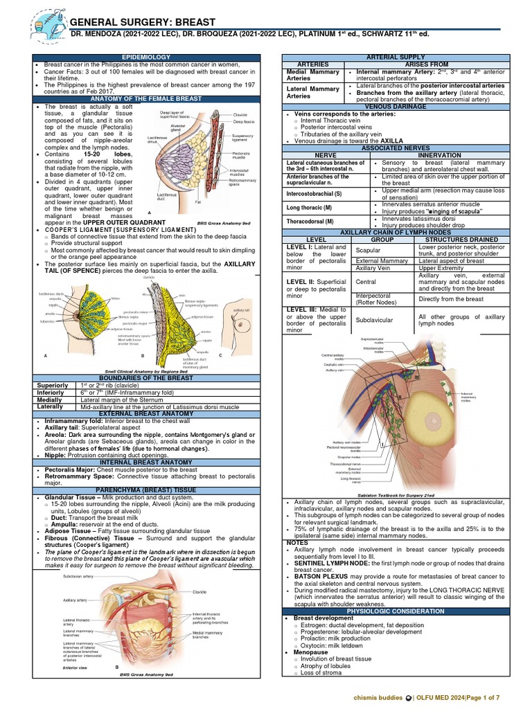 Arterial Supply and Anatomy of the Breast | PDF