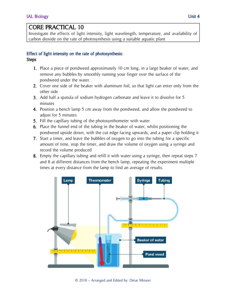 Core Practicals | PDF
