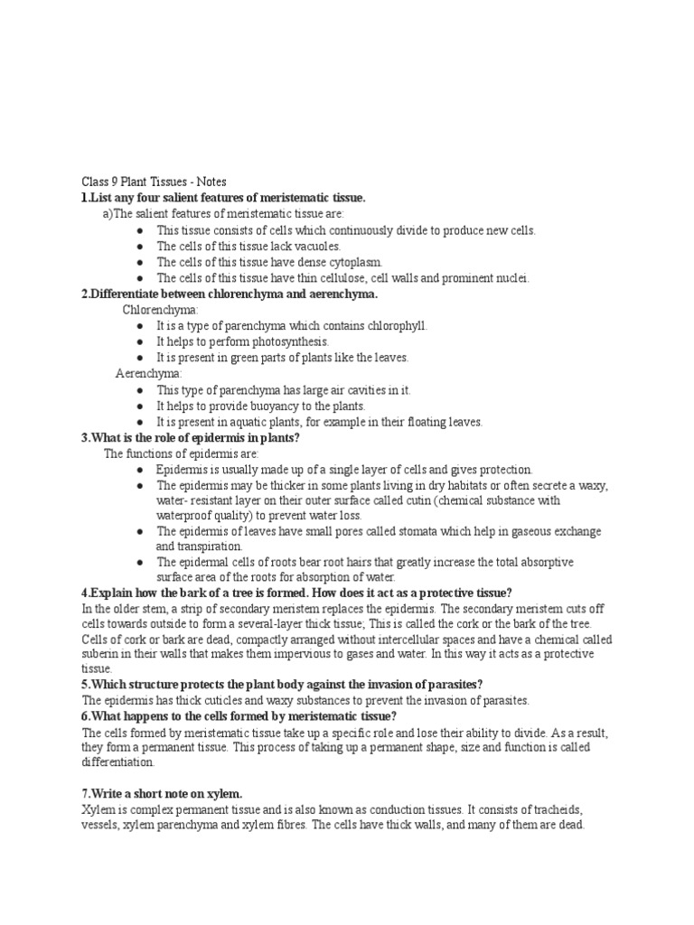 Class 9 - Notes - Plant Tissues | PDF