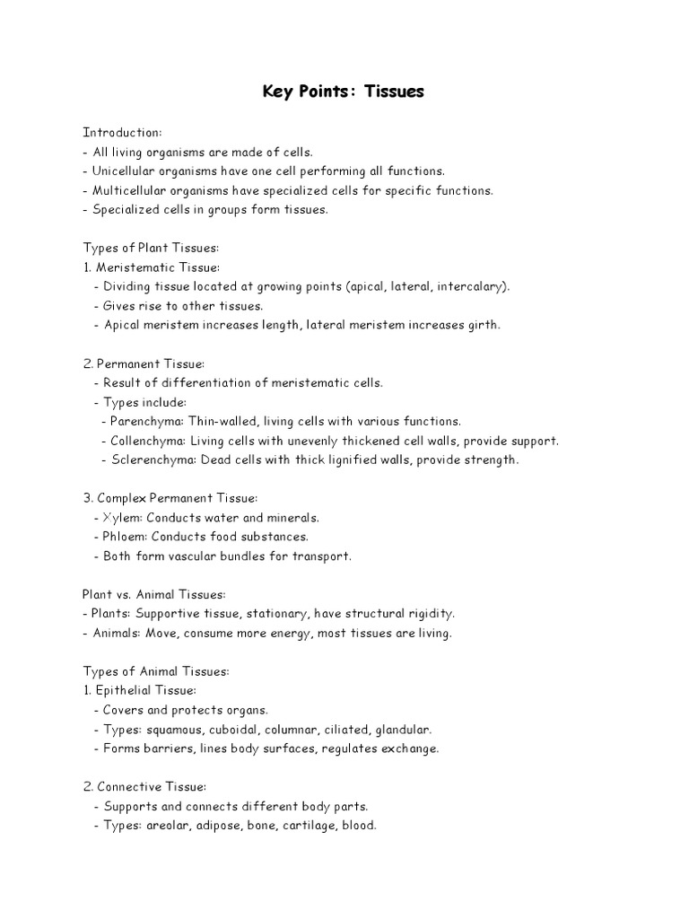 Key Points - Tissues | PDF