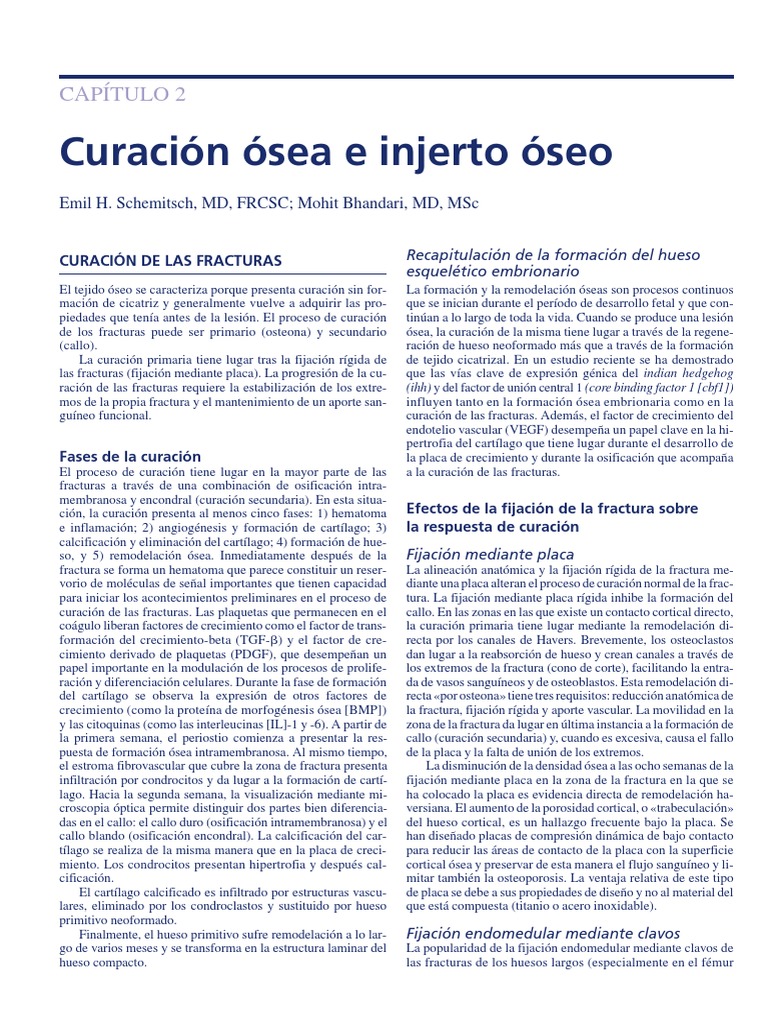 Cap 02 Curación Ósea e Injerto Óseo | PDF