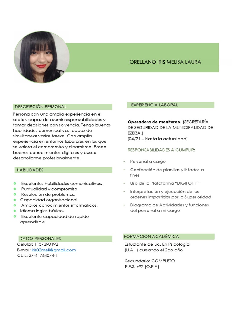 CV Iris Verde | PDF