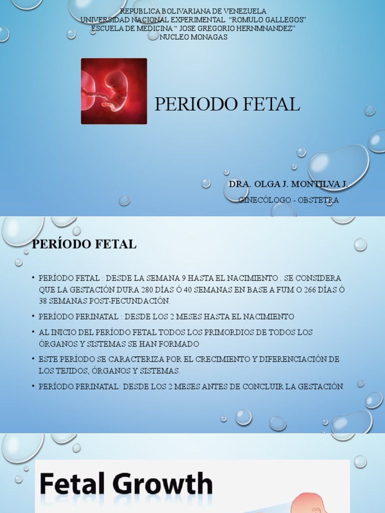 Periodo Fetal | PDF | Feto | Anatomía