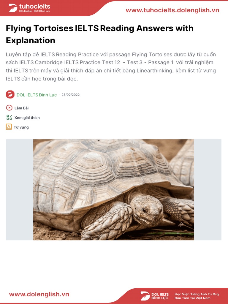 Flying Tortoises IELTS Reading Guide | PDF | Foreign Language Studies