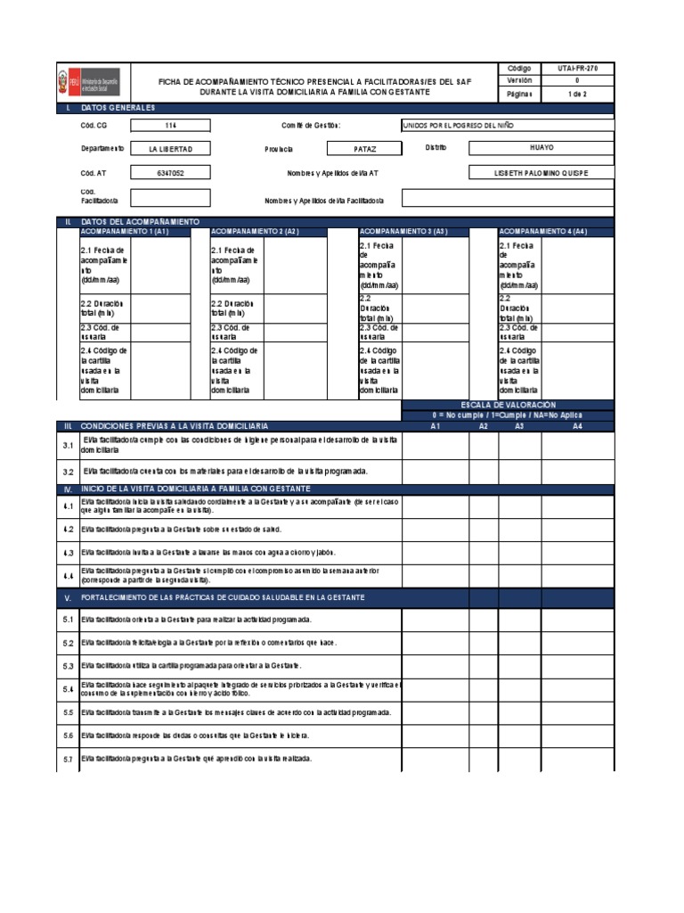 Anexo #18 - Ficha de Acompañamiento Presencial - SAF - Facilitador - VD ...