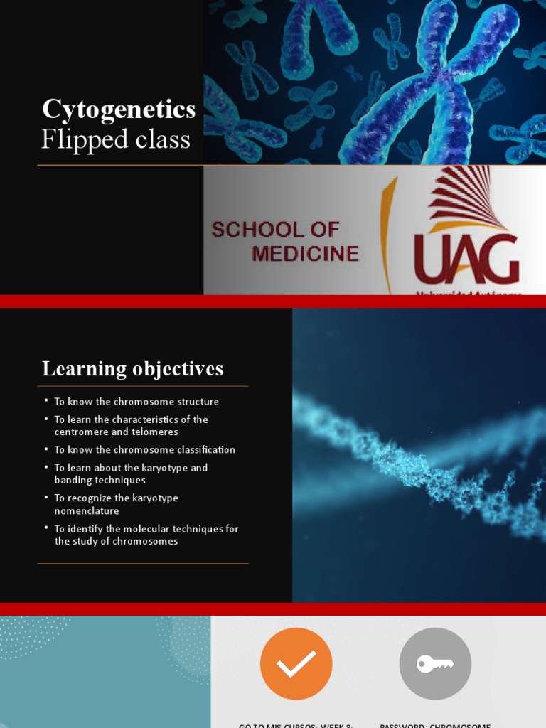 Cytogenetics FLIPPED CLASS 2021-02 3 | PDF | Karyotype | Chromosome