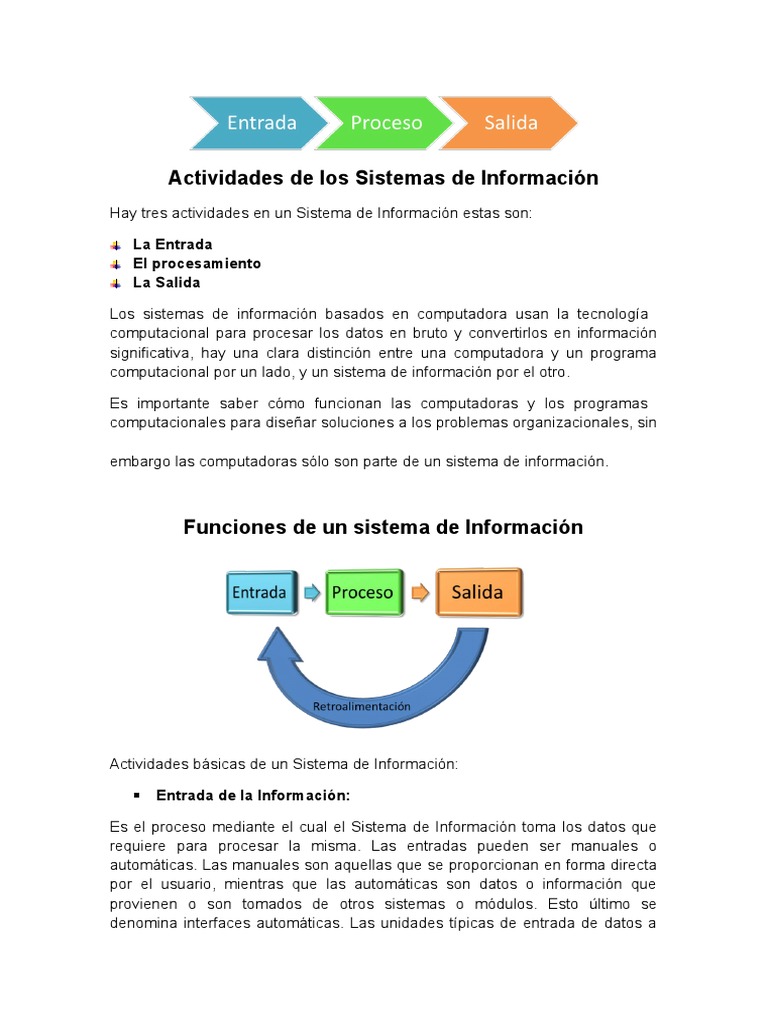 Actividades de Los Sistemas de Información Liliam Cabrera | PDF