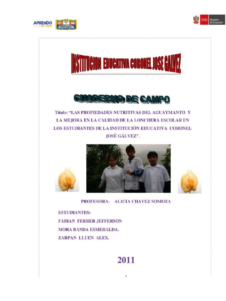 Modelo de Cuaderno de Campo | PDF