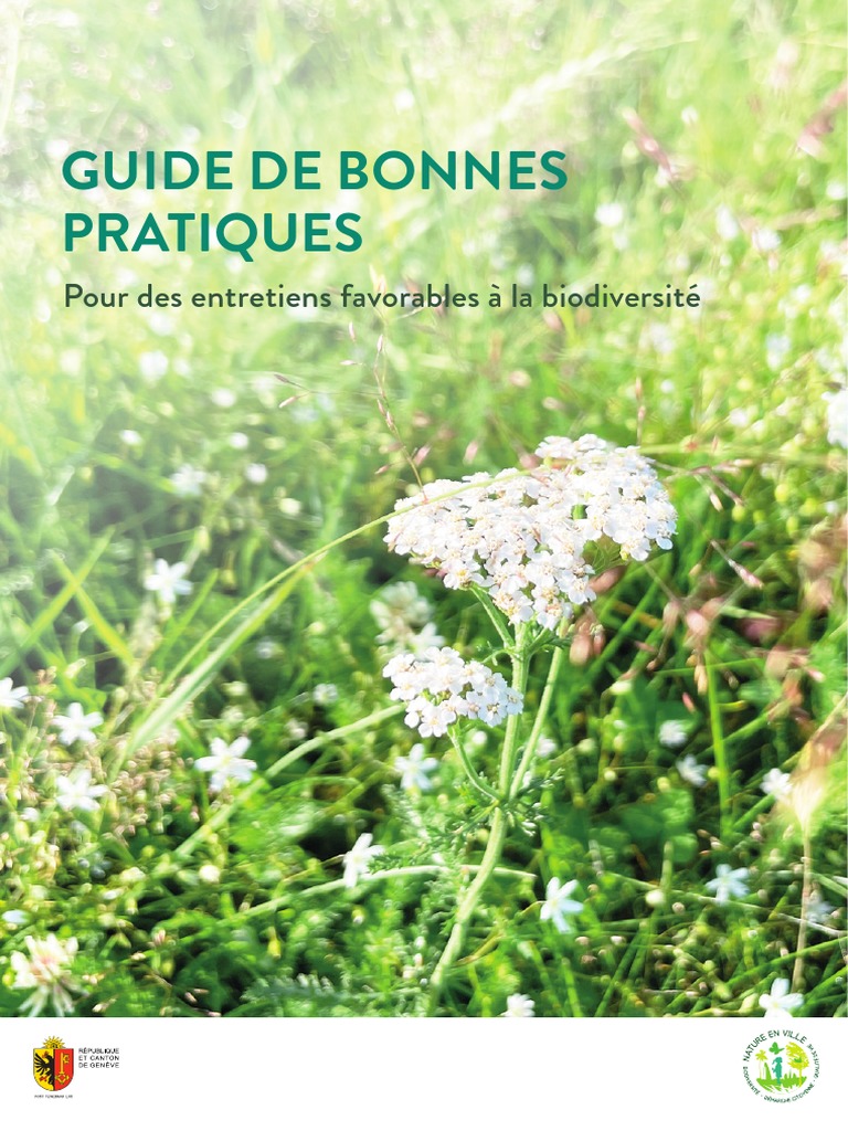 Guide-bonnes-pratiques | PDF