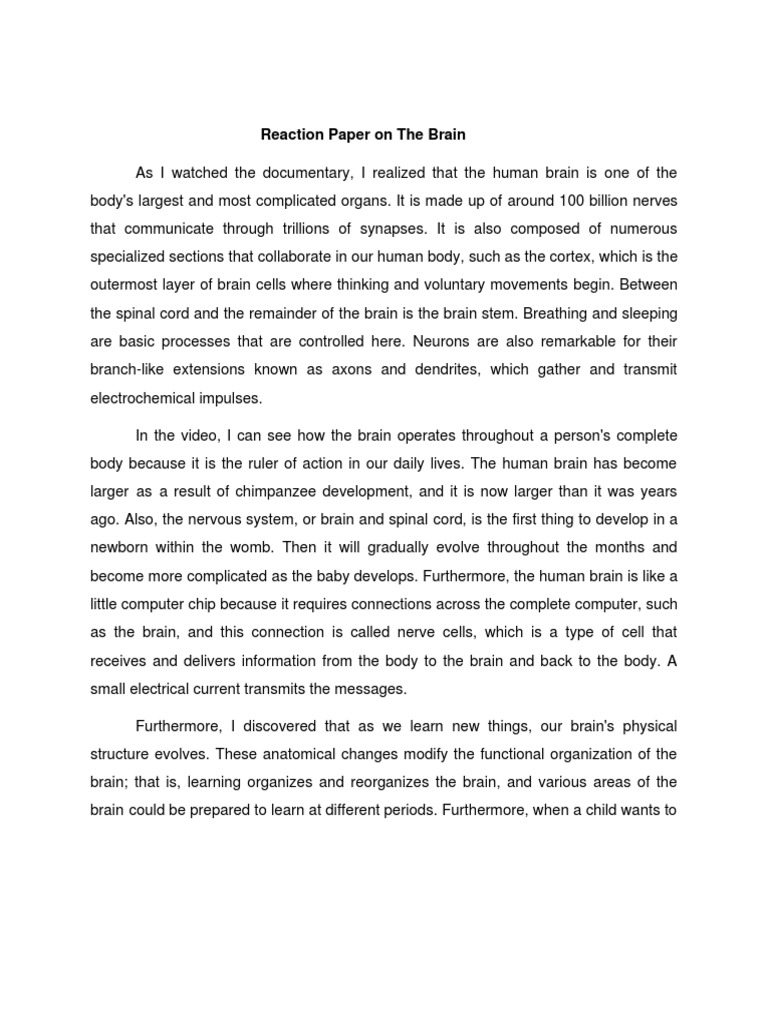 Reaction Paper On The Brain | PDF