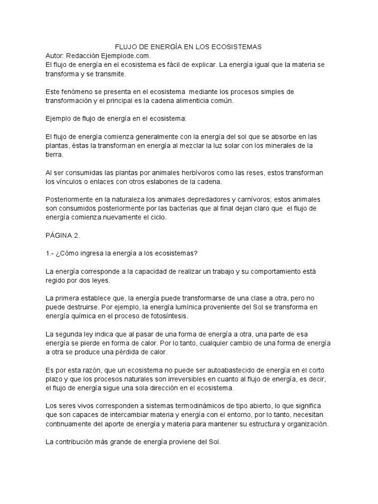 FLUJO DE ENERGÍA EN LOS ECOSISTEMAS | PDF