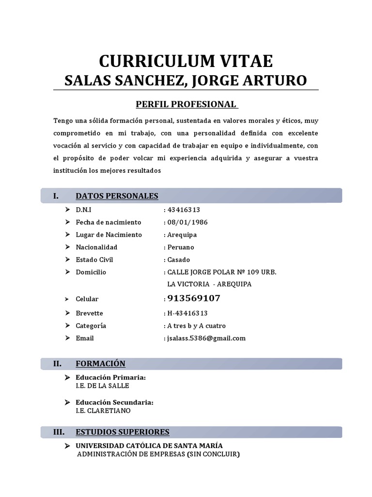 Curriculum Vitae Salas Sanchez, Jorge Arturo | PDF