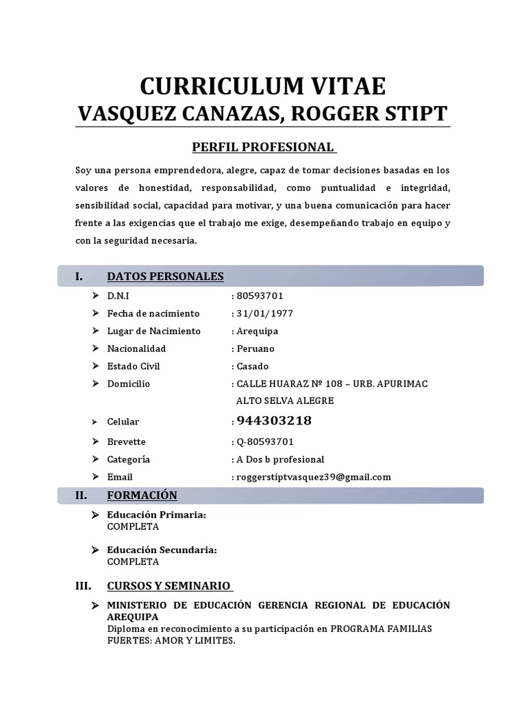 Curriculum Vitae Con Perfil Vasquez Canazas, Rogger Stipt | PDF