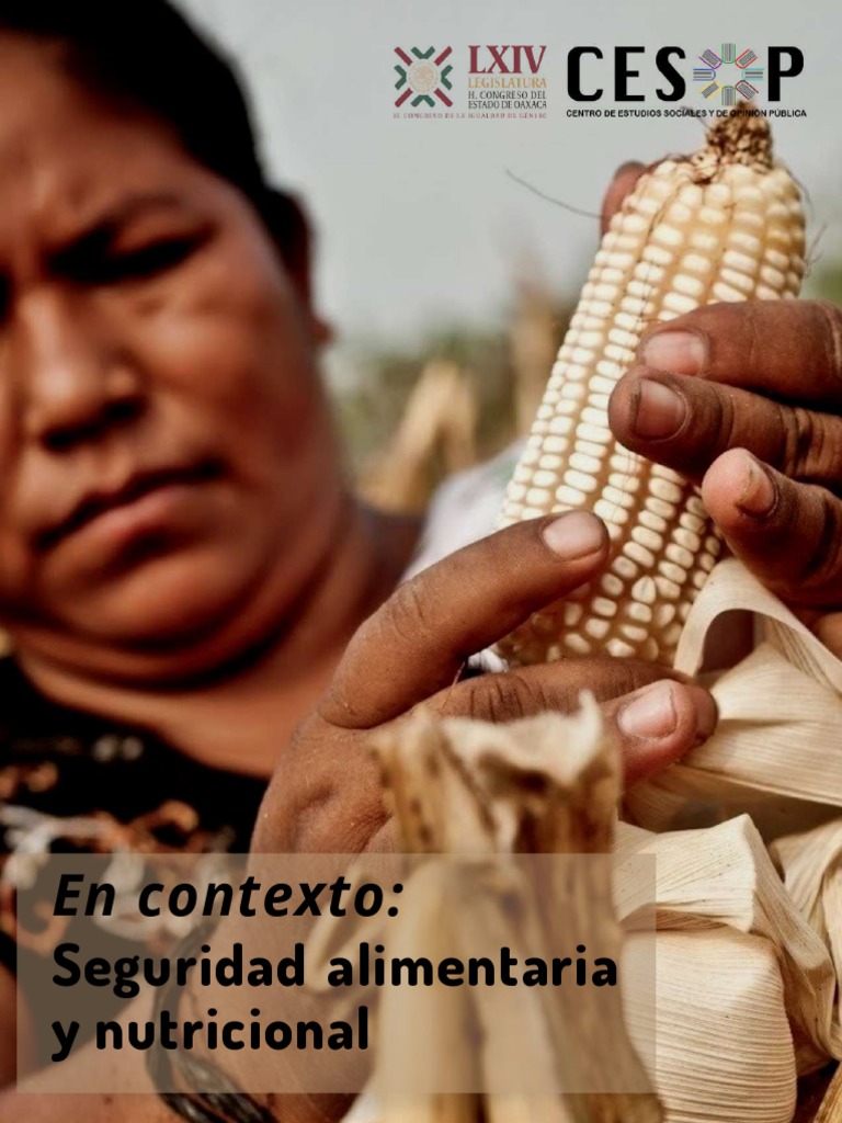 Seguridad Alimentaria y Nutricional | PDF