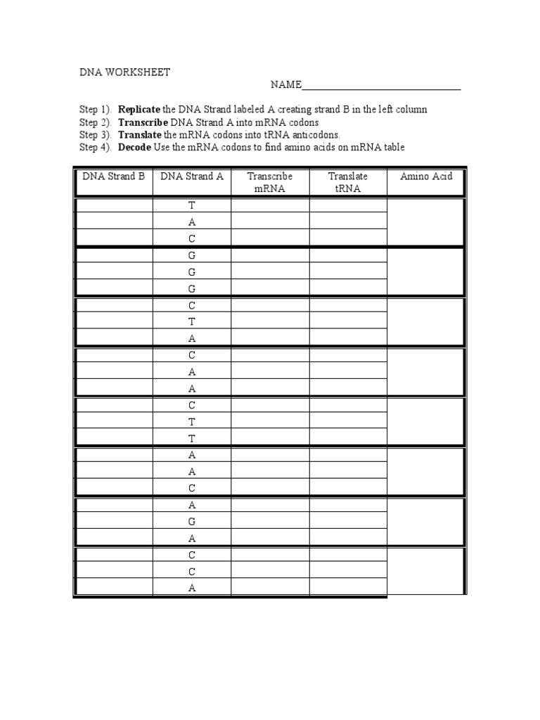 DNA Protein Synthesis Worksheet | PDF | Nucleic Acid Sequence | Genetic ...