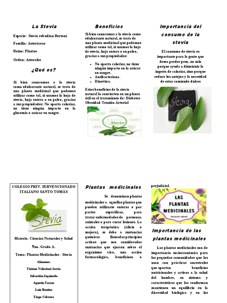 Tríptico Stevia | PDF