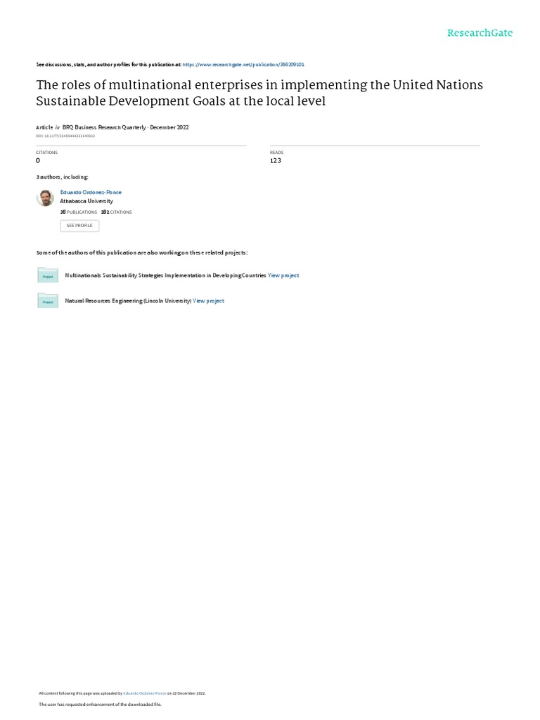 The Roles of Multinational Enterprises in Implementing The United ...