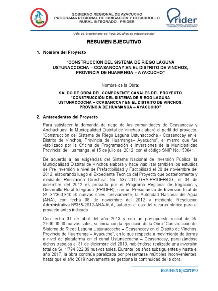 Resumen Ejecutivo | PDF