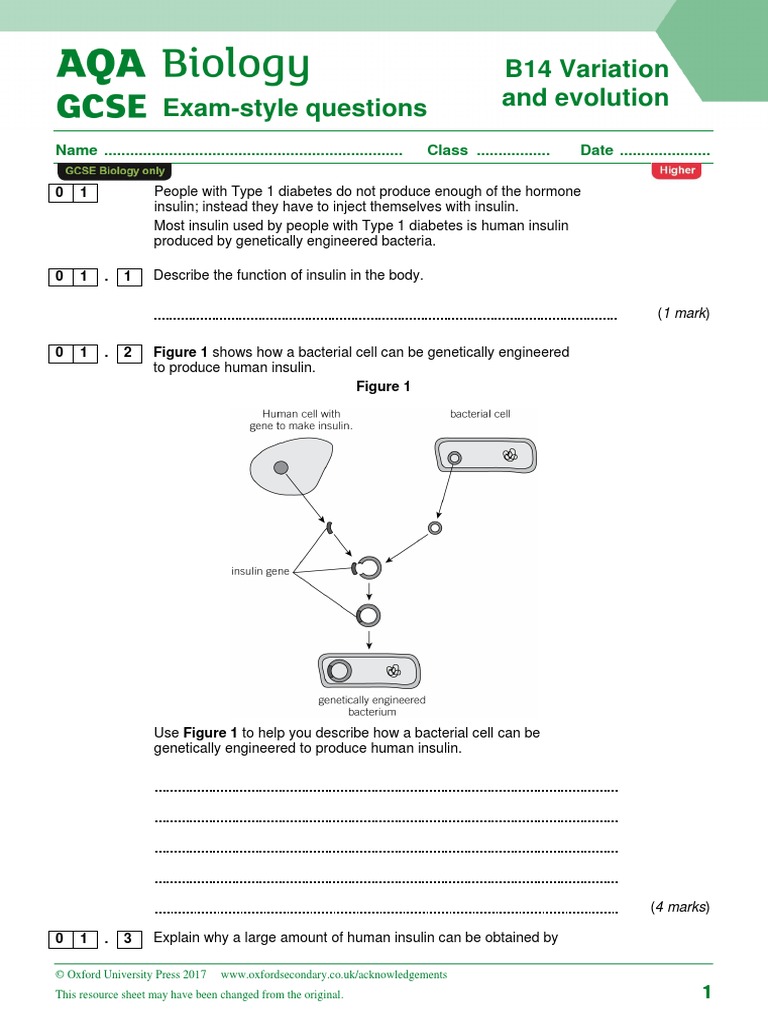 B14 Variation and Evolution Exam-Style Questions | PDF