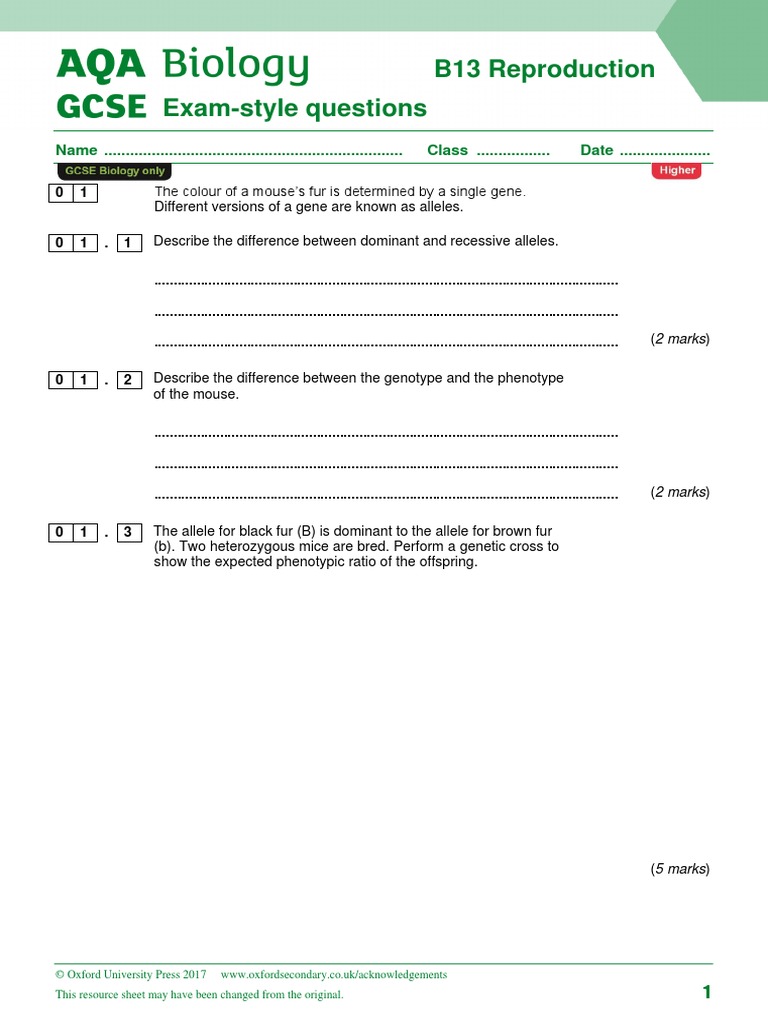 B13 Reproduction Exam-Style Questions | PDF | Allele | Gene