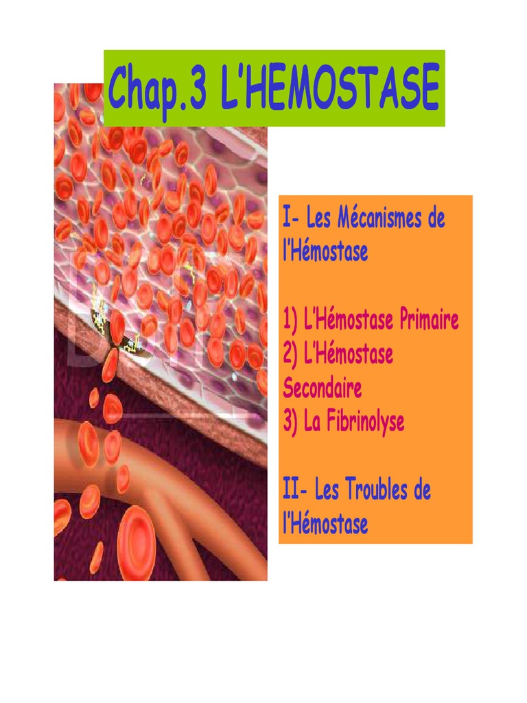 Cours3 Hemostase | PDF