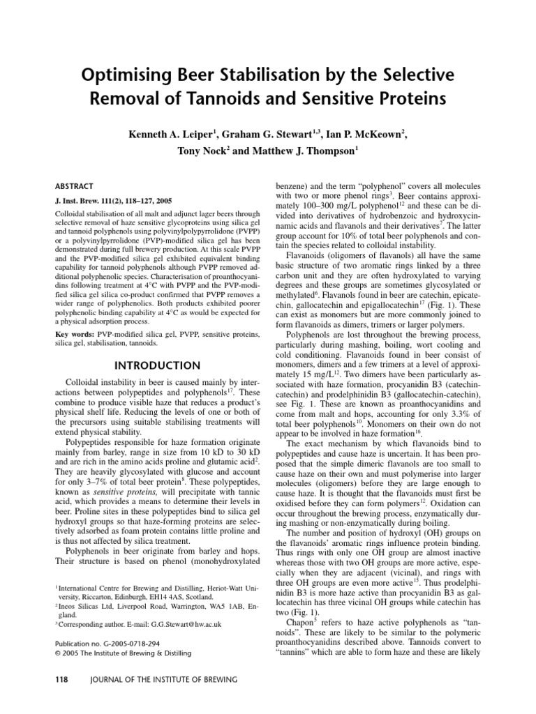 Beer Stabilization | PDF