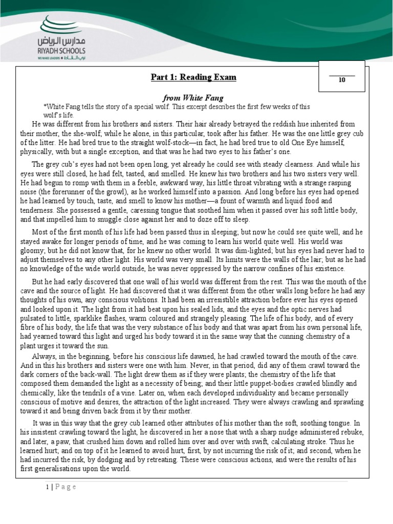 Grade 7 - Diagnostic Test T1 - 22-23 | PDF