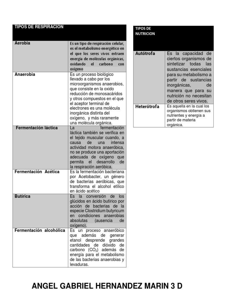 Identifica Los Principales Procesos Bioquímicos (Respiración, Nutrición ...