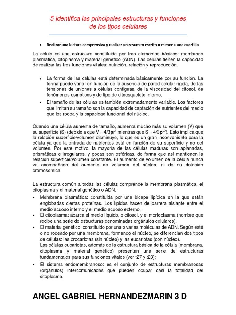 5 Identifica Las Principales Estructuras y Funciones de Los Tipos ...