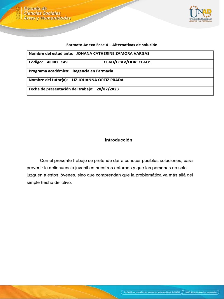 Formato Anexo Fase 4 | PDF