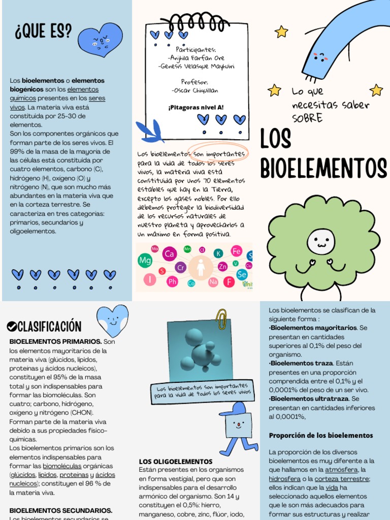 Bioelementos | PDF | Biomoléculas | Organismos
