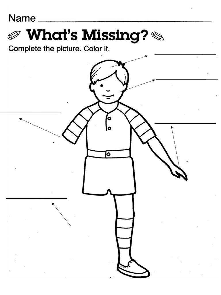 Body Parts Worksheet | PDF