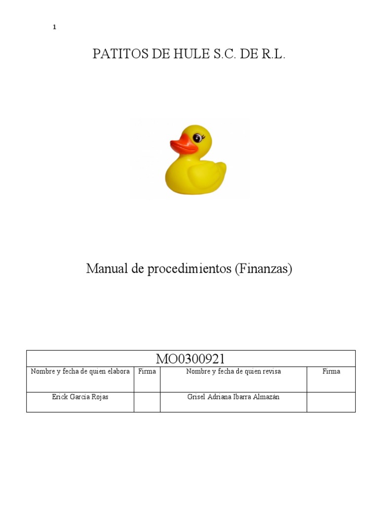 Patos Hule Proyecto | PDF