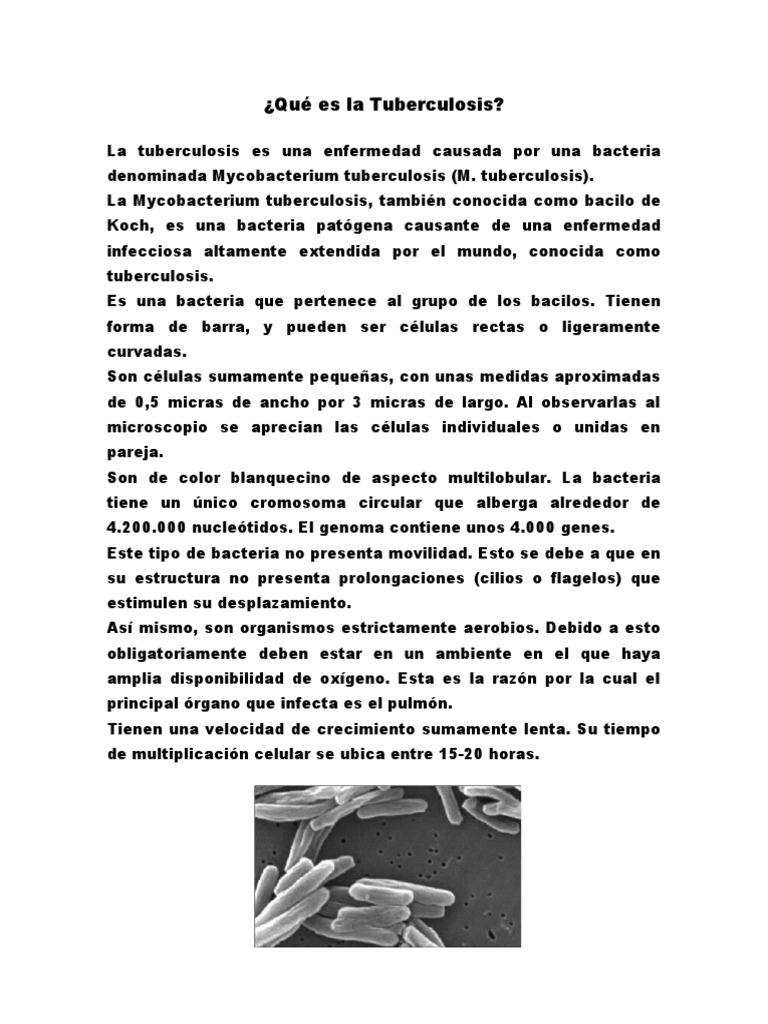 Qué Es La Tuberculosis | PDF | Tuberculosis | Las bacterias
