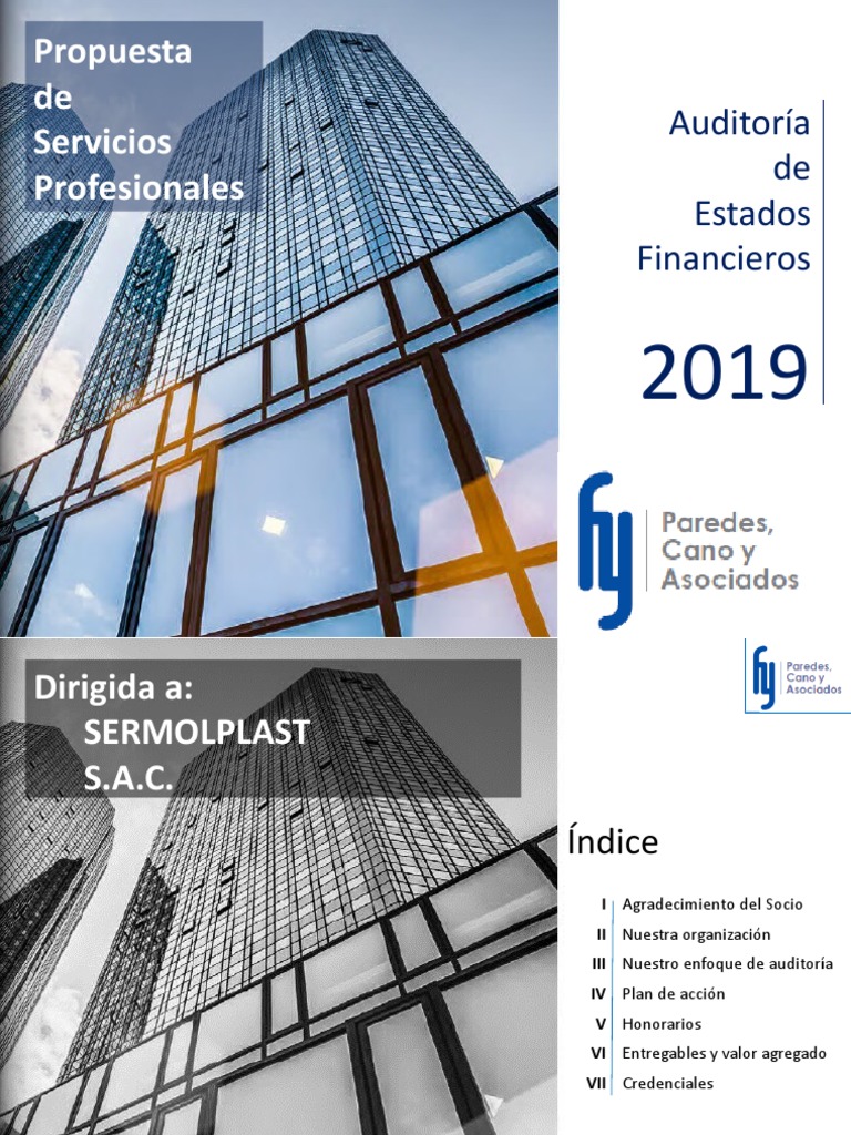 Grupo RY - Auditoria Propuesta | PDF | Auditoría | Business